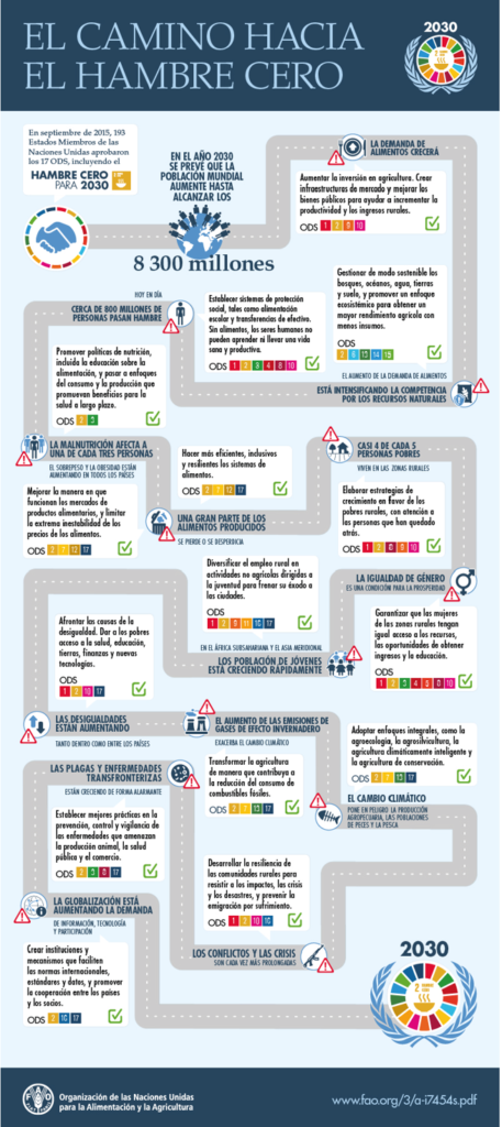 2030: Fam zero - Junior Report